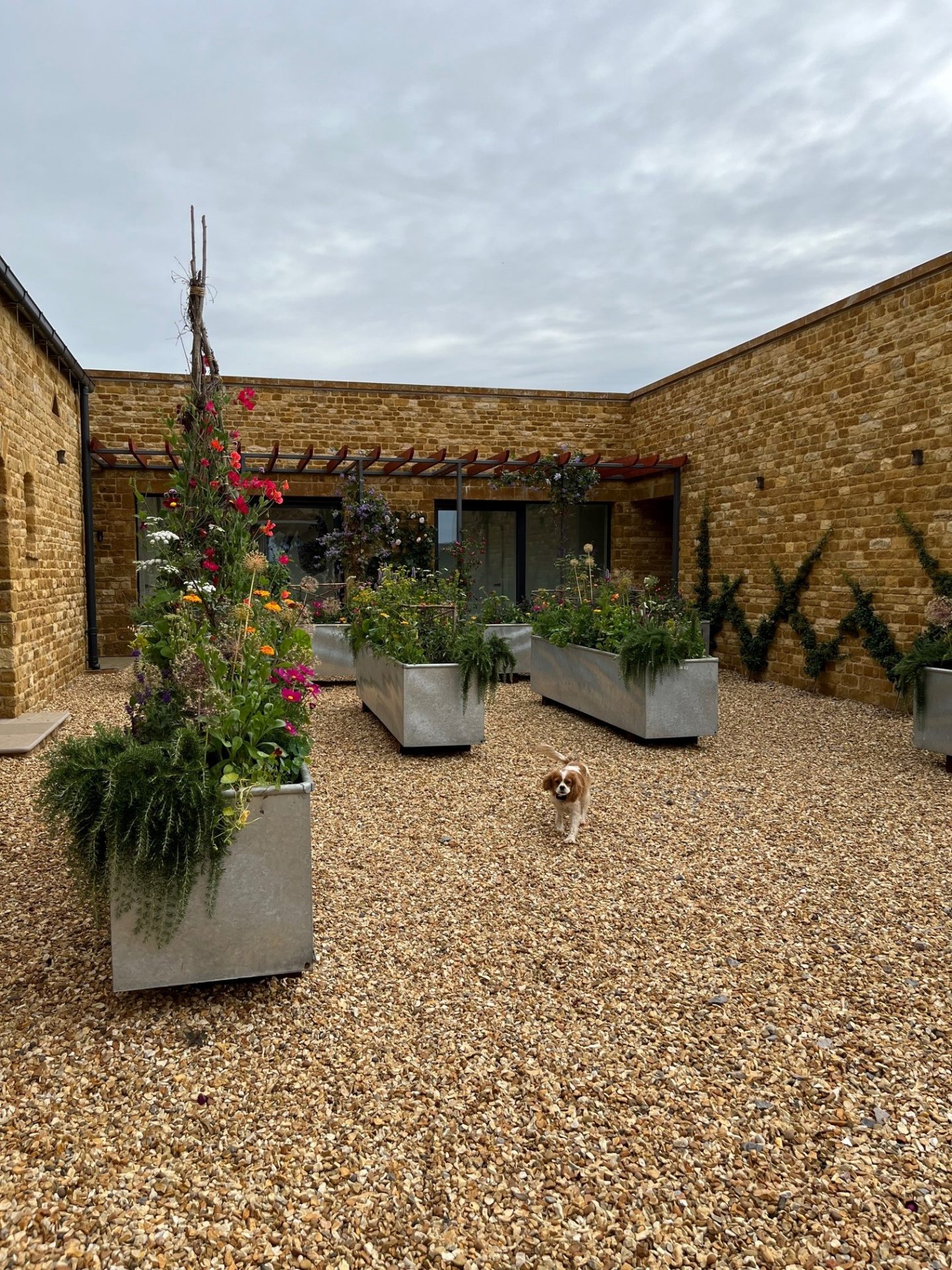 Our New Garden - Two years on! - Prue Leith